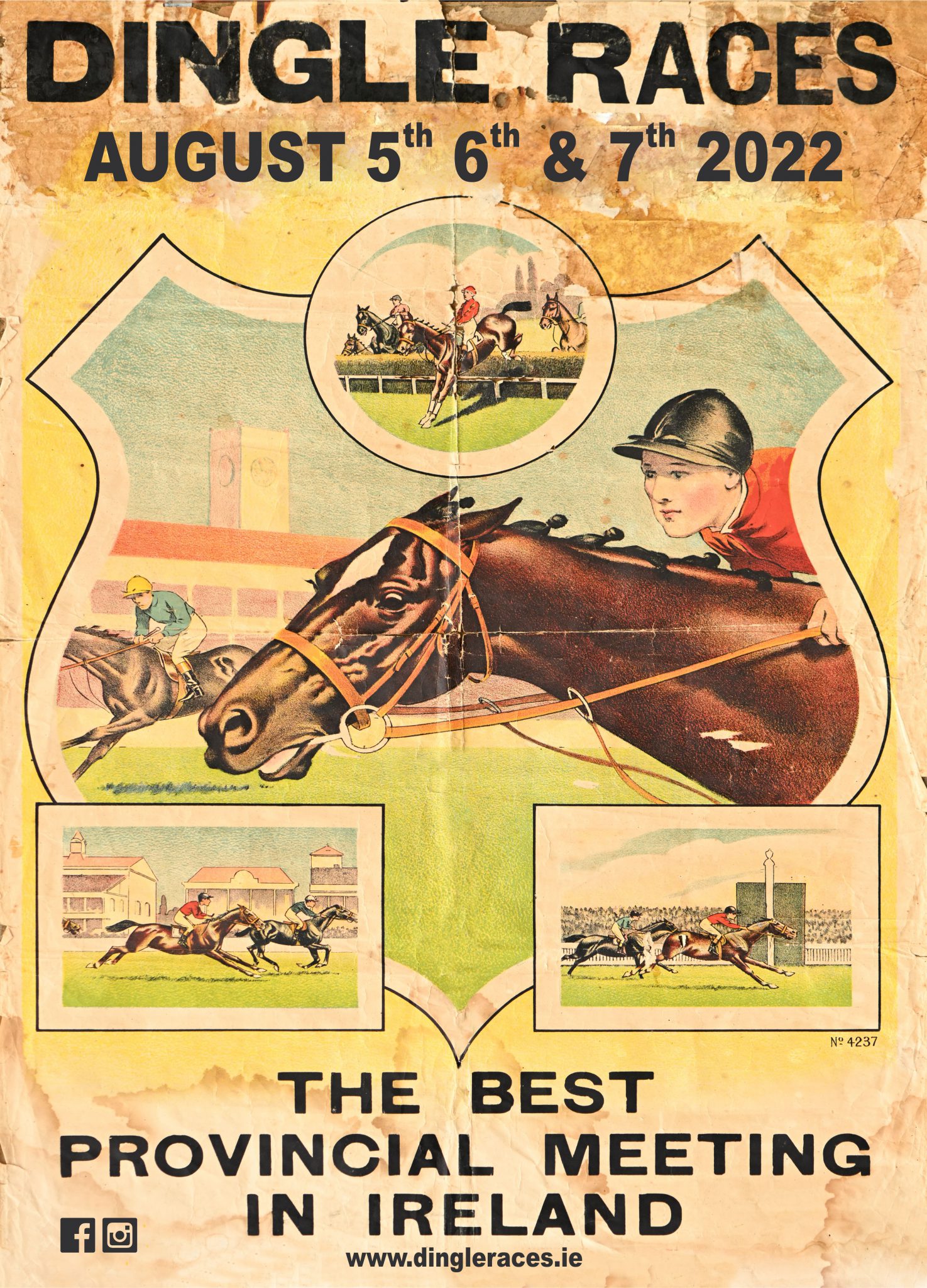 About - DingleRaces.ie | Dingle Races | Dingle Horse and Pony Racing ...